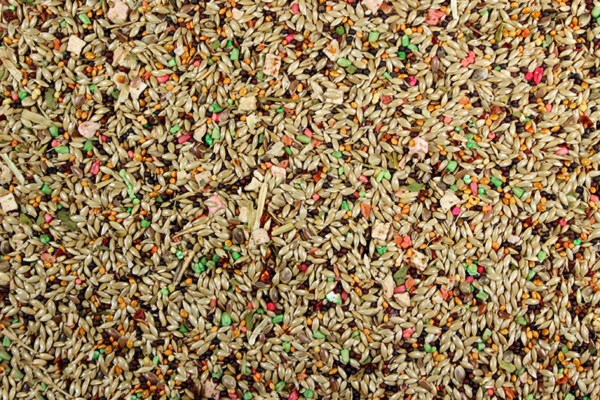 Canary Roller – Leach Grain & MIlling