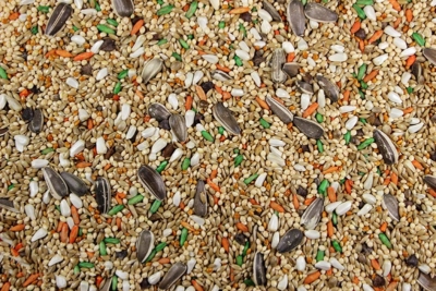 Large Hookbill Cuisine – Leach Grain & MIlling