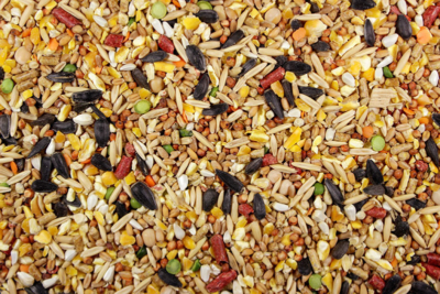 High Octane – Leach Grain & MIlling