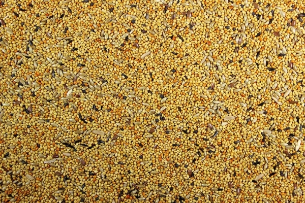 Large Hookbill Cuisine – Leach Grain & MIlling