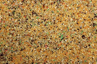 Large Hookbill Cuisine – Leach Grain & MIlling