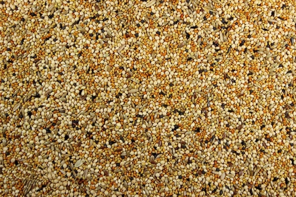 Parrot – Leach Grain & MIlling