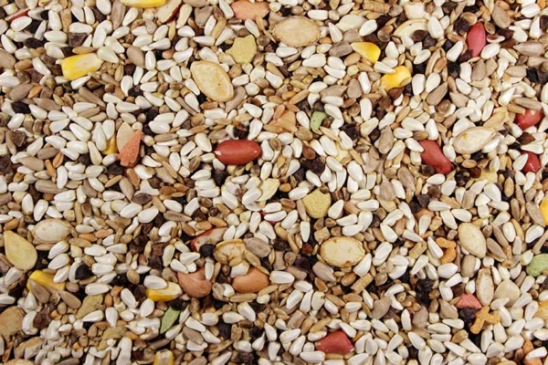 Large Hookbill Cuisine – Leach Grain & MIlling