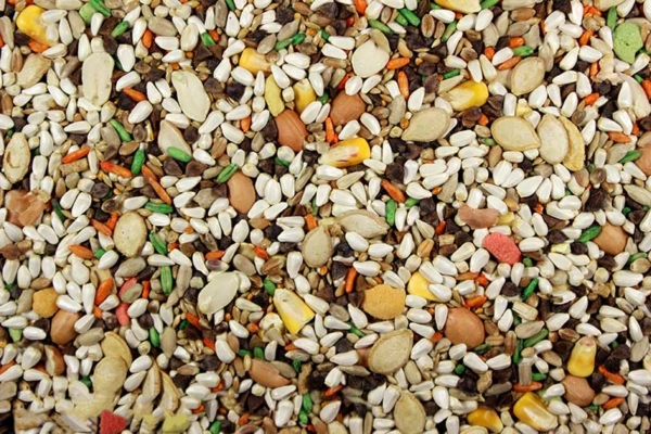 Large Hookbill Cuisine – Leach Grain & MIlling