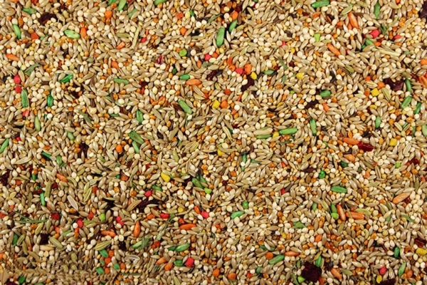 Canary Song Food – Leach Grain & MIlling