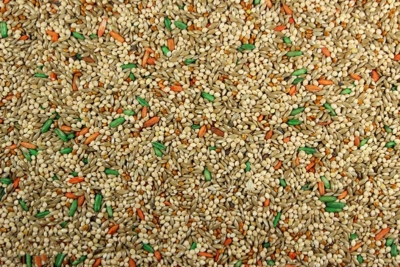 Parrot – Leach Grain & MIlling