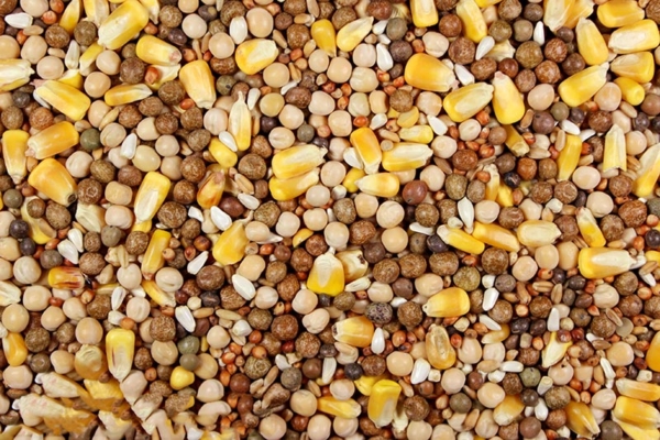 Pigeon Feed – Leach Grain & MIlling