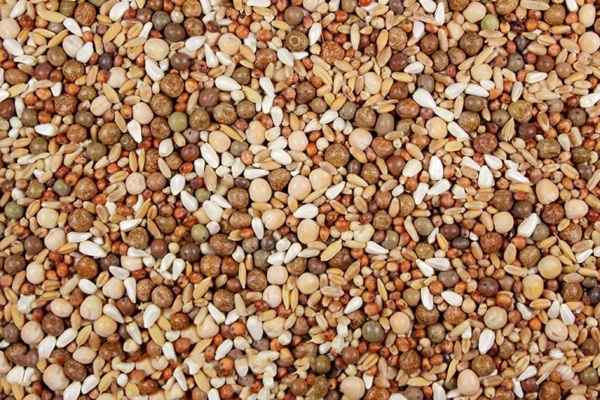 Pigeon Feed – Leach Grain & MIlling