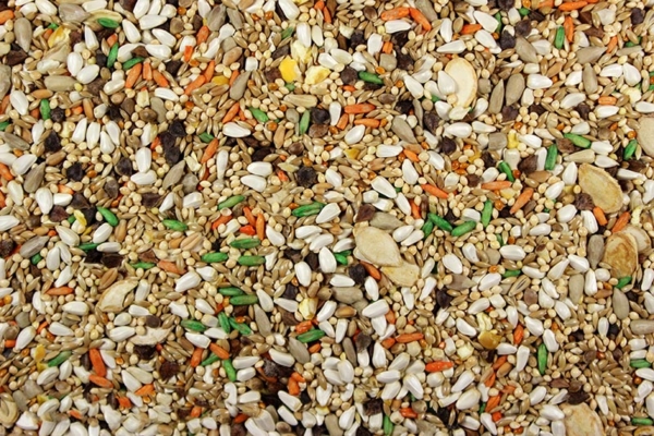 Large Hookbill Cuisine – Leach Grain & MIlling