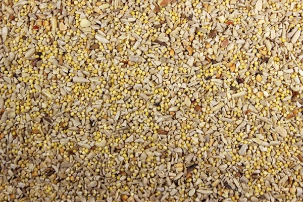 Wild Bird No Mess – Leach Grain & MIlling