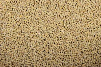 Pigeon Feed – Leach Grain & MIlling